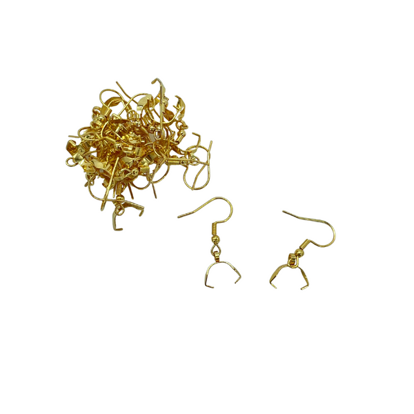 Hypoallergenic Stainless Steel Dangle Earring Hooks With Pinch Clips 2 ...