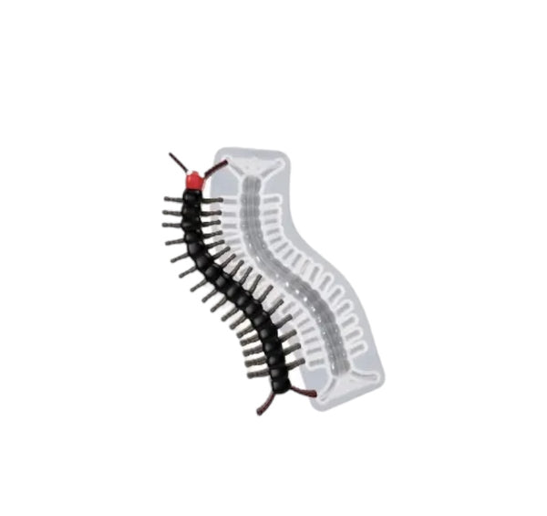 3D Realistic Centipede - Resin Rockers